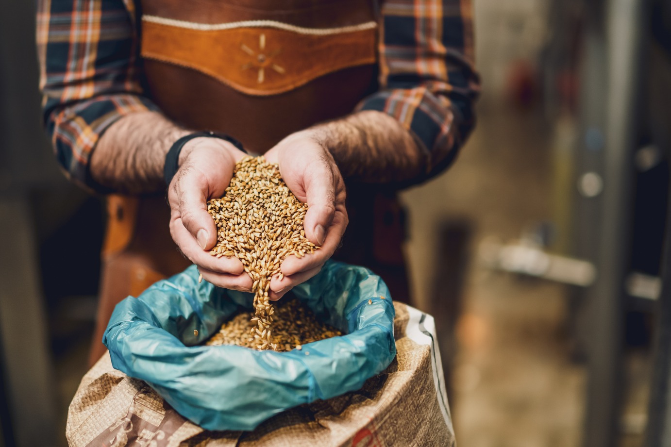 Local Calgary Breweries - Calgary Co-op Wine Spirits Beer