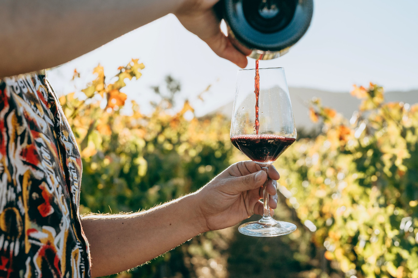 Wine Battle: Chile vs. Argentina - Calgary Co-op Wine Spirits Beer